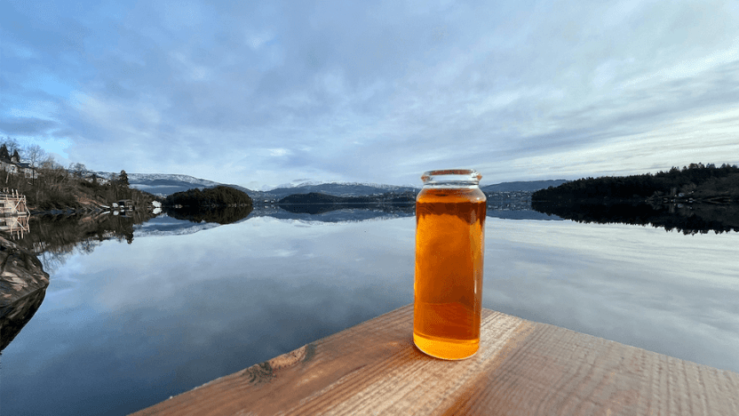 Salmigo® Salmon Oil - GlobalPETS