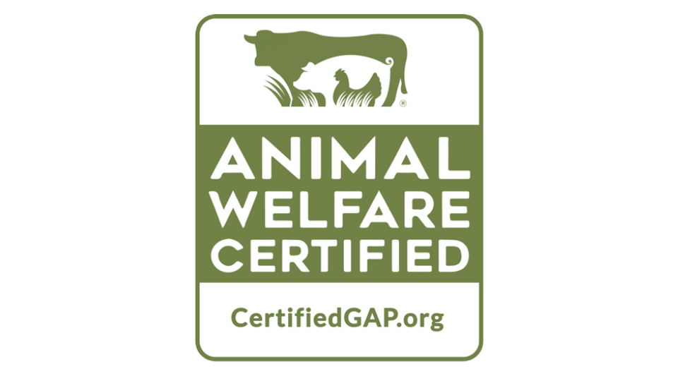 Evermore Pet Food earns welfare certificate - GlobalPETS