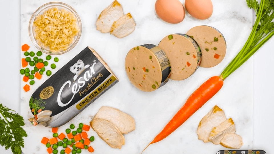 CESAR now offers fresh pet food - GlobalPETS