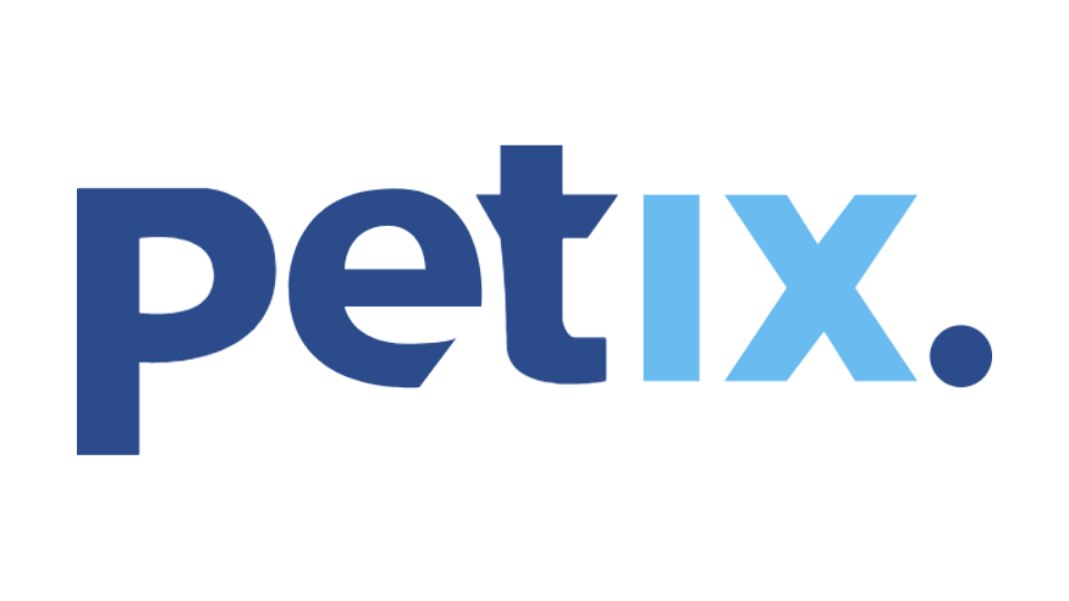 Brazilian pet retail chain Petz acquires dog pad manufacturer Petix ...