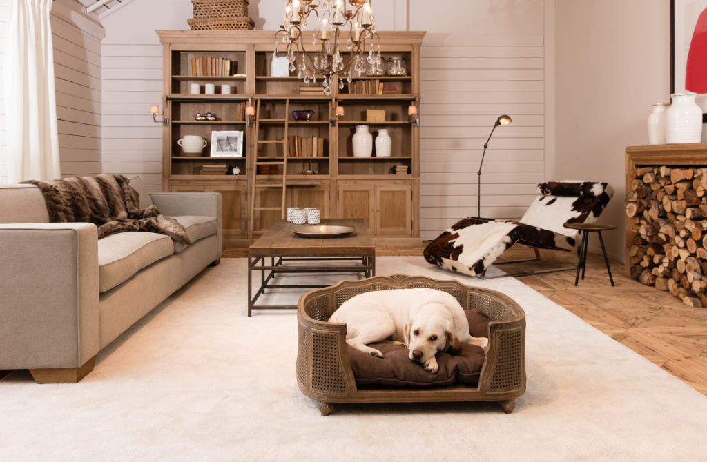 Lord Lou | The Netherlands - GlobalPETS
