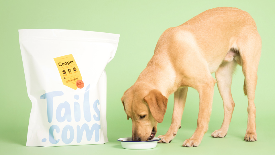 tails.com to share health data with vets - GlobalPETS