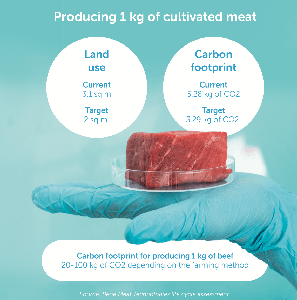Is cultivated meat the future of pet food? - GlobalPETS