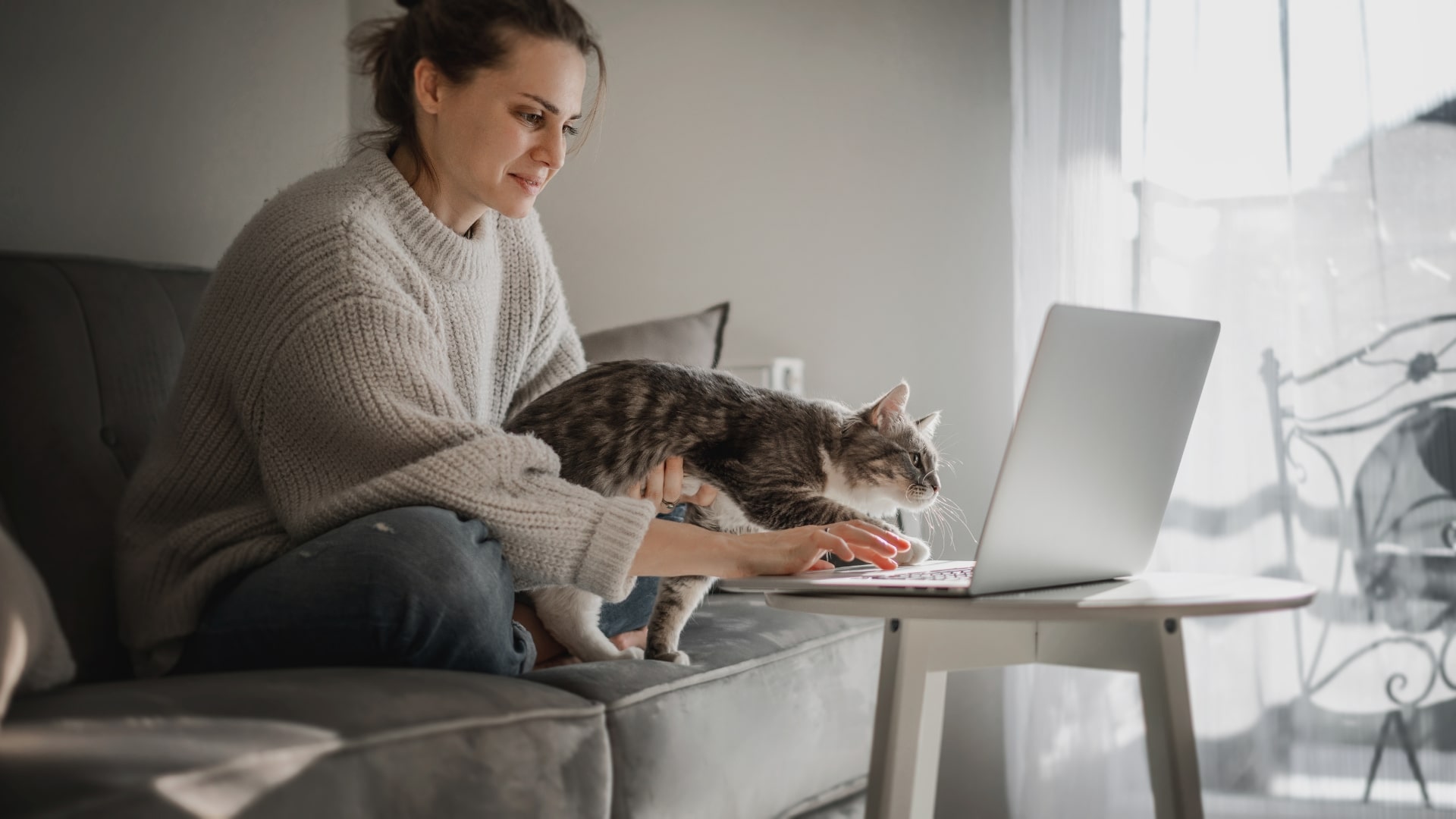 Digital pet landscape in the UK shows shifting consumer trends - GlobalPETS