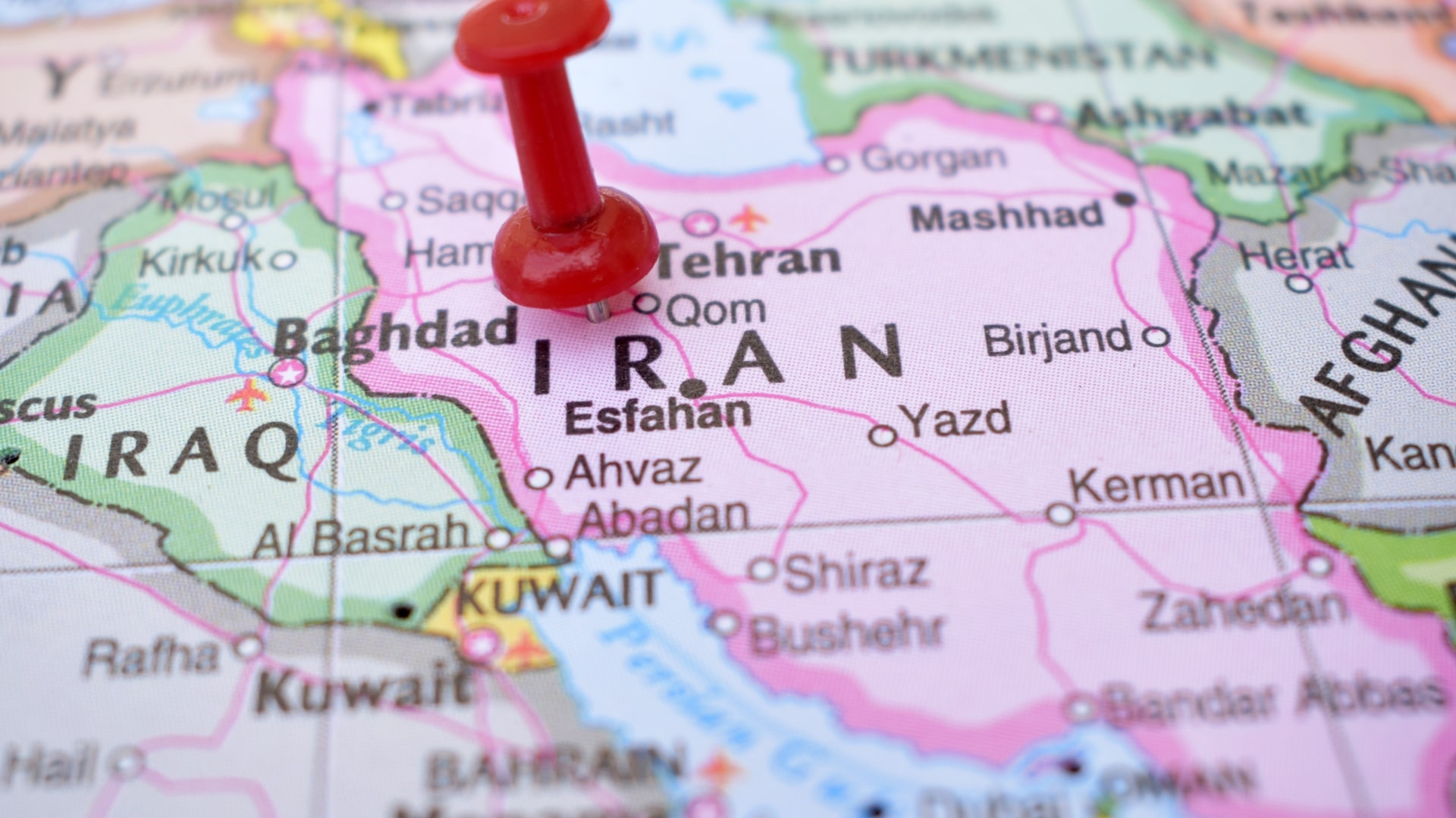 What we know about Iran’s new dog-walking ban beyond Tehran - GlobalPETS