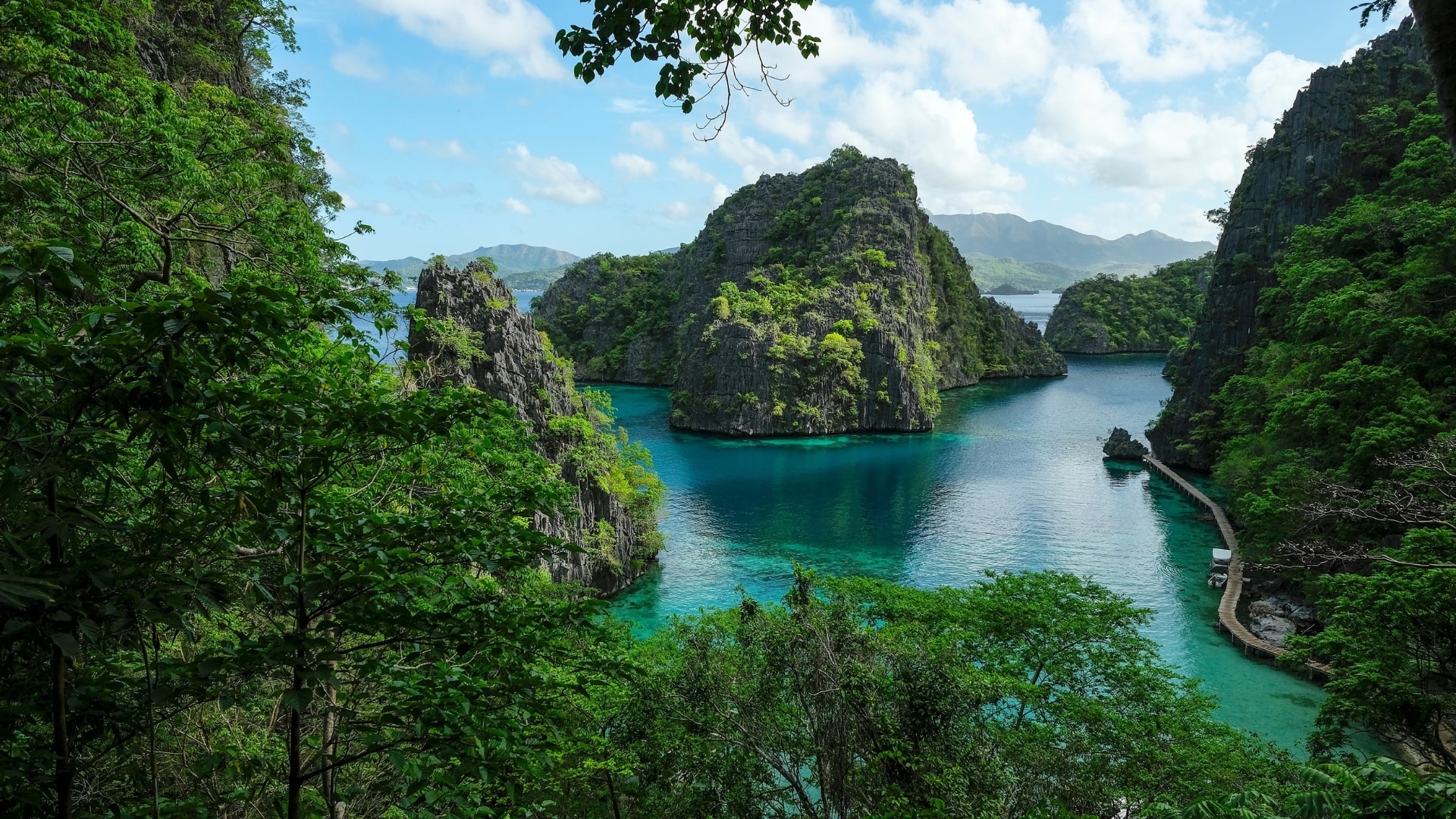 Country report: the Philippines - A growing force in Asia’s pet market ...