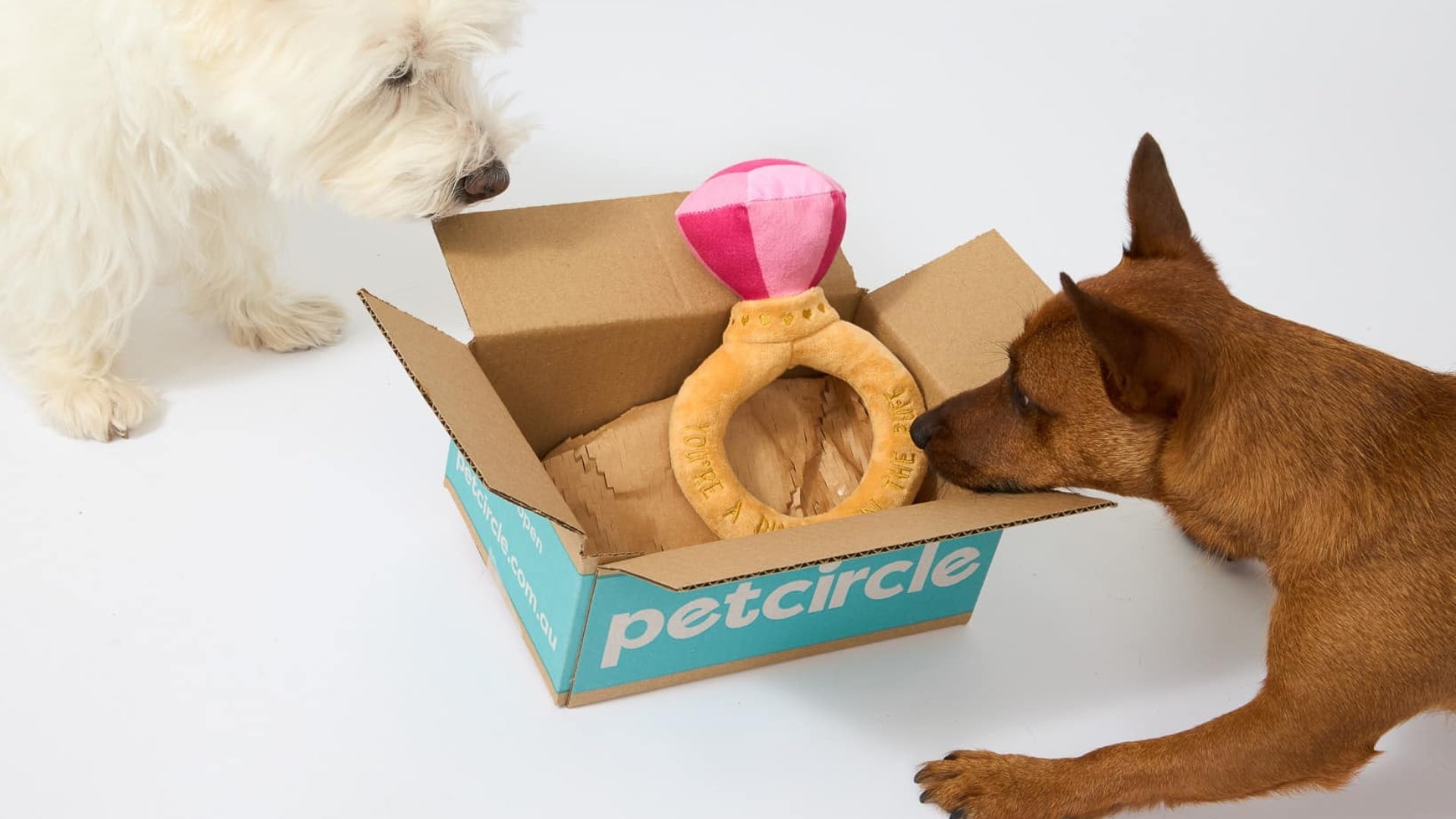 Australia’s Pet Circle widens net loss in FY2025 - GlobalPETS