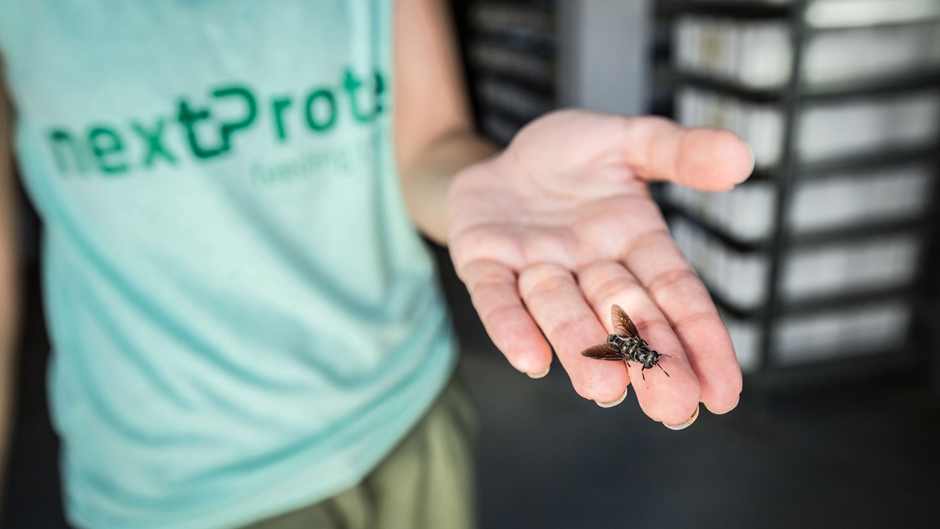 nextProtein expands production in Tunisia - GlobalPETS