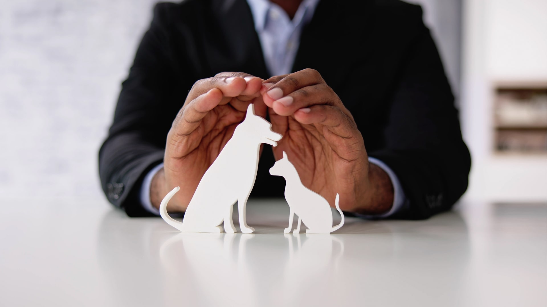 How rising insurance costs affect pets in the UK and US - GlobalPETS