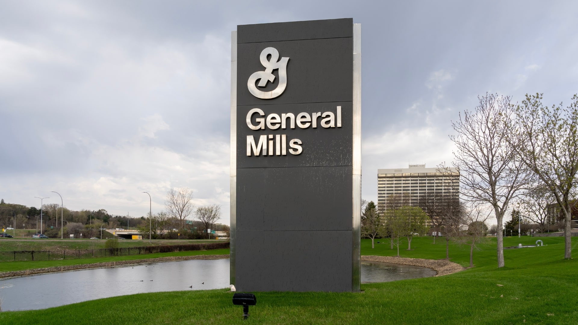 Cat food and pet treats led growth at General Mills last quarter ...