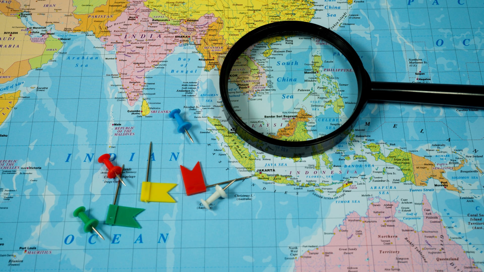 Data: Pet population trends in Asia-Pacific - GlobalPETS