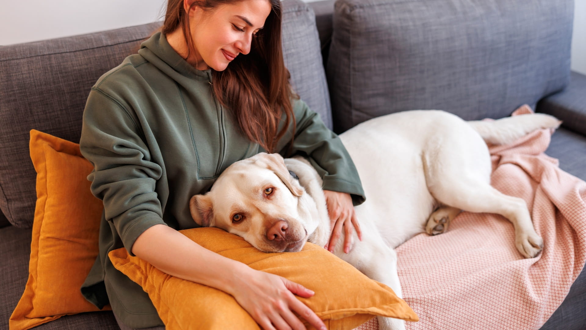 Pawternity leave becomes global workplace trend - GlobalPETS