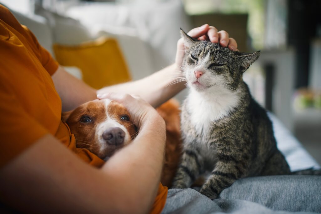 UK pet parents face rising unexpected costs but stay committed to care ...